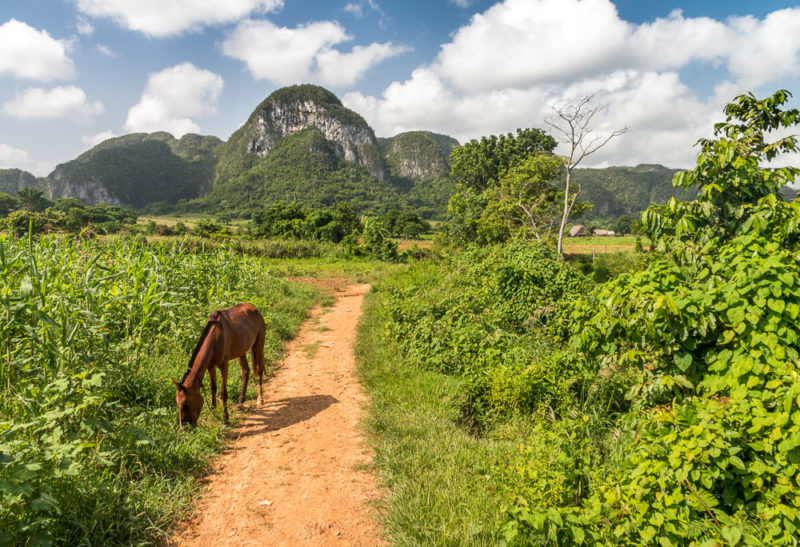 6 Best Places to Visit in Northern Cuba - E&T Abroad